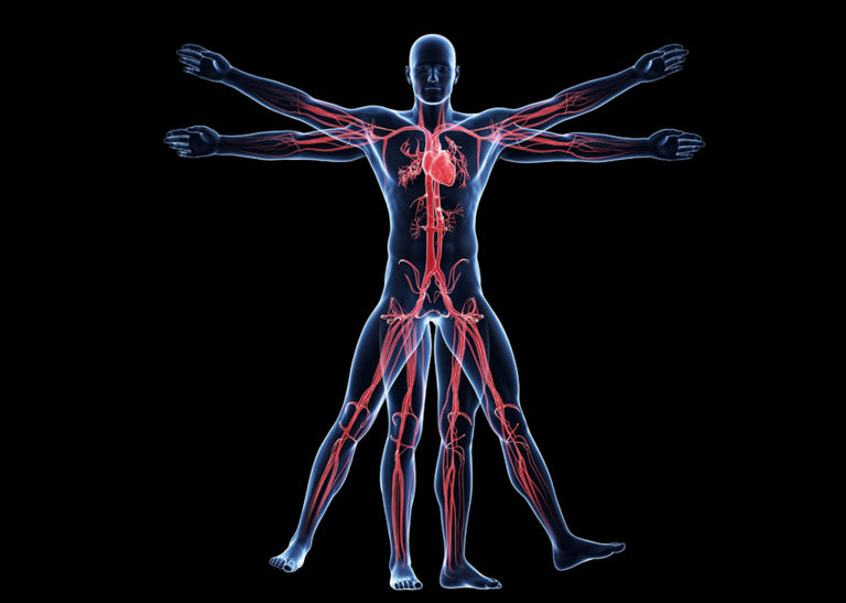 Home - Semler Technologies, Inc. dba Advanced Vascular Dynamics